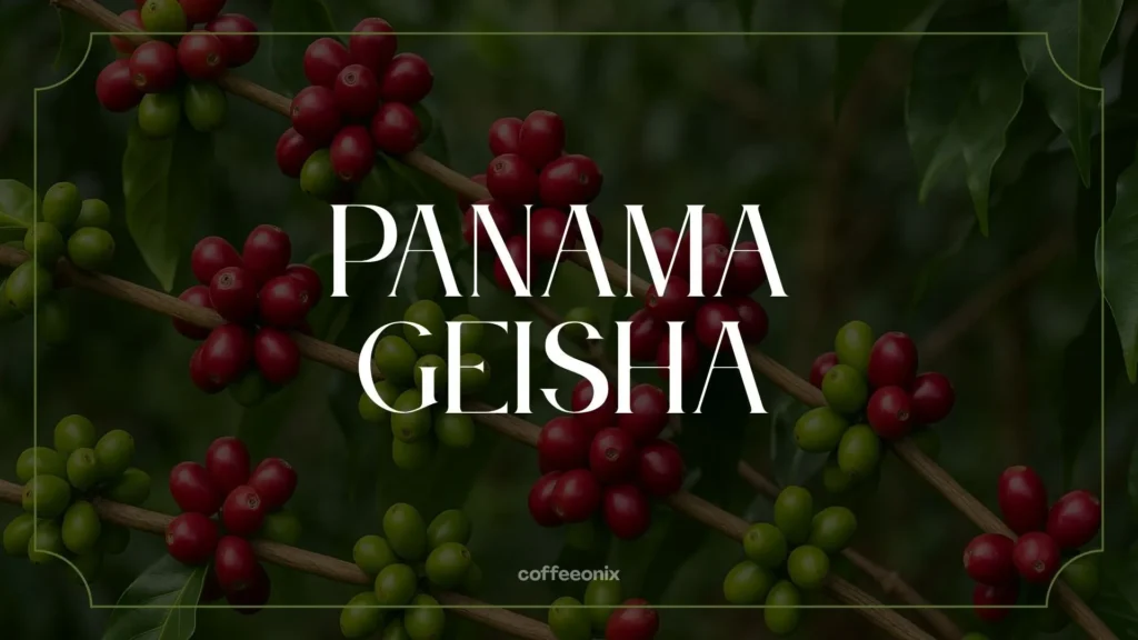 Top 10 Best Coffee Beans in the World | Coffeeonix